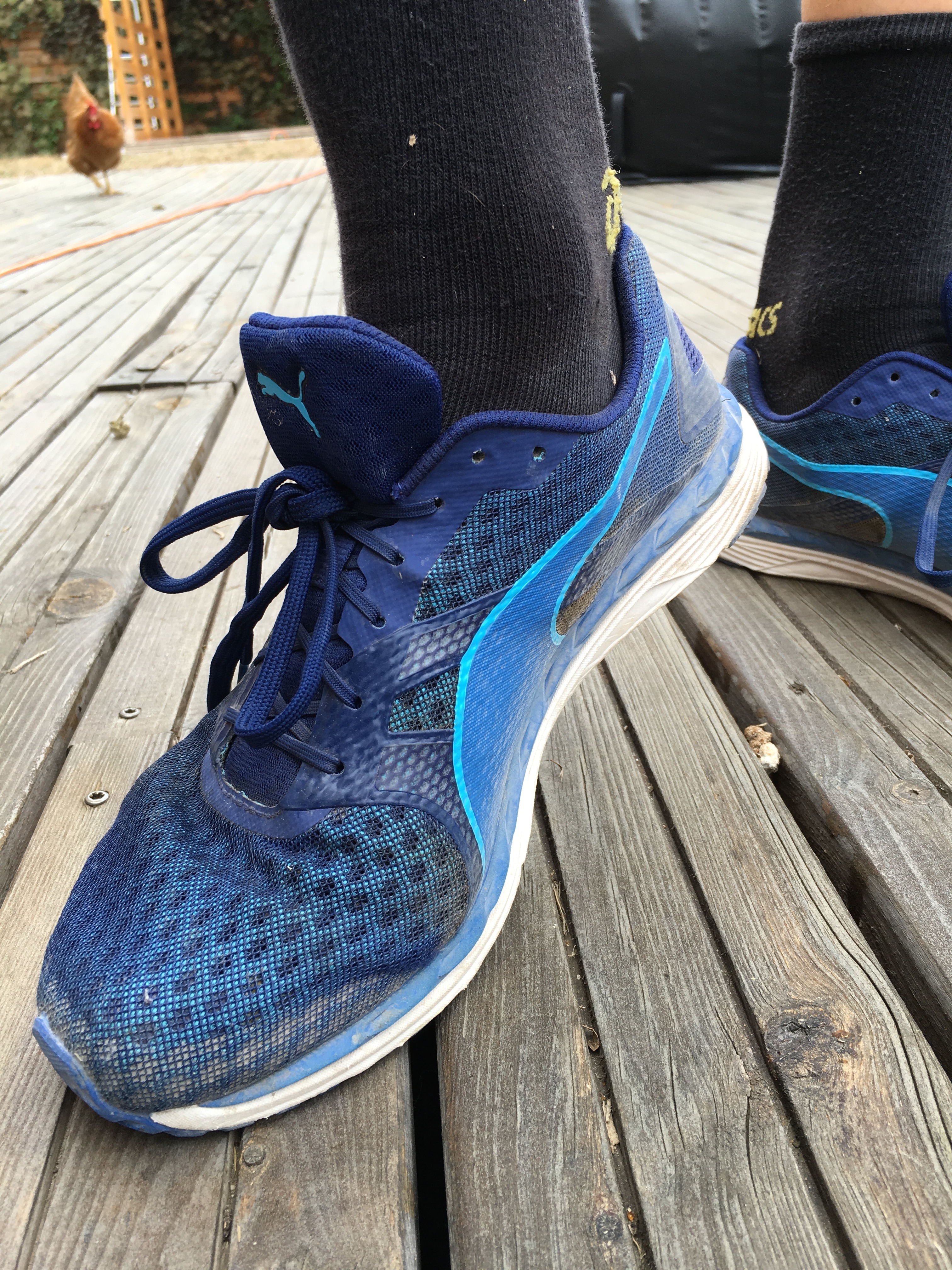 Test : les chaussures de running PUMA SPEED 300 – U Run