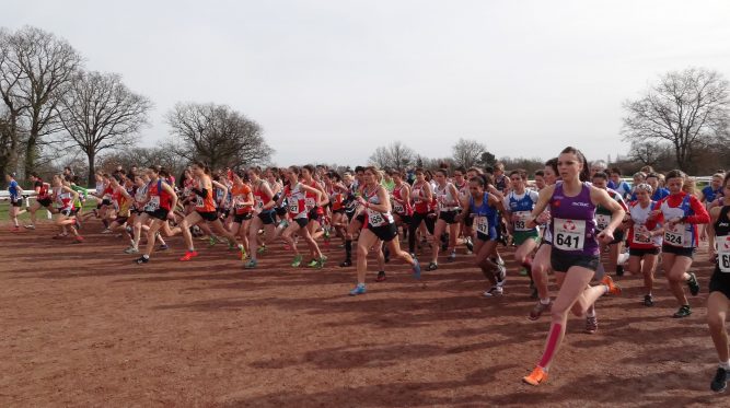 Le relais mixte aux prochains championnats de France de cross ! - U Run